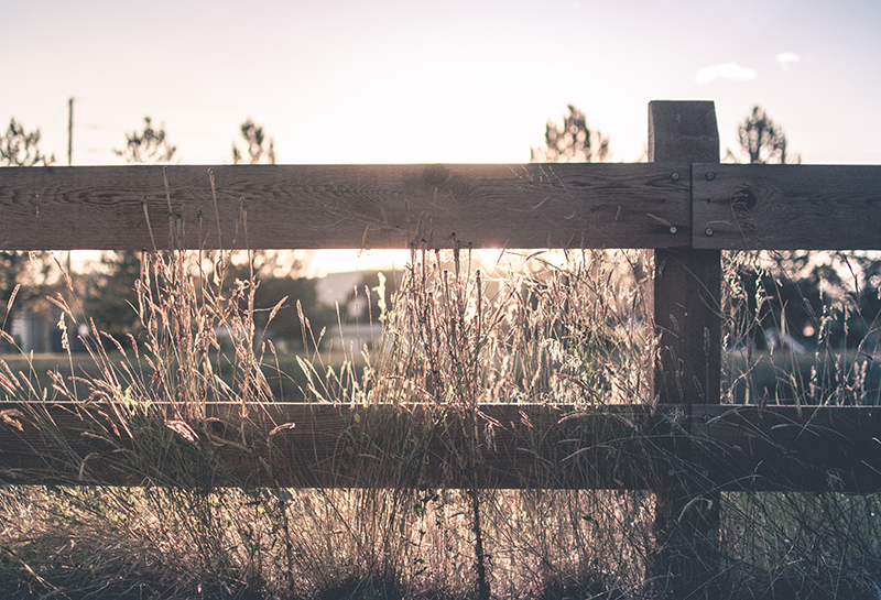 How to Install Fence Rails by Atlantic Fence & Supply (4 Easy Steps)