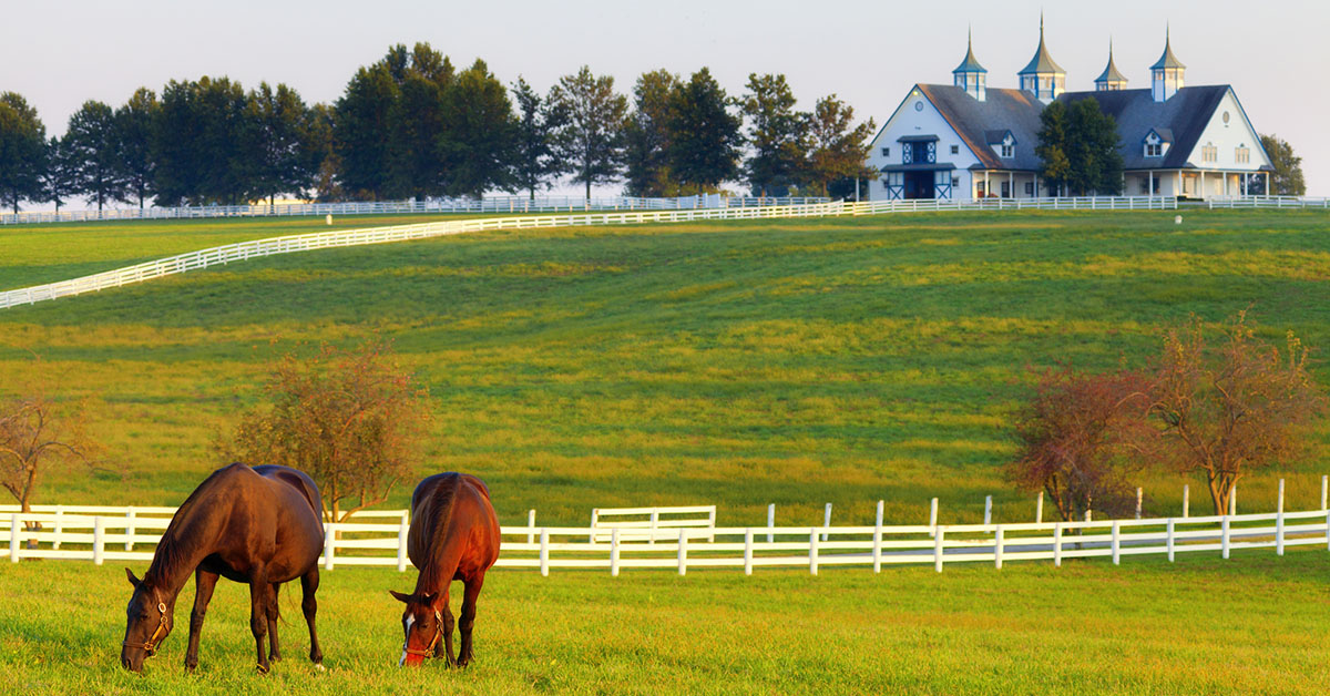 Farm Fences: What You Need to Know (by Atlantic Fence & Supply)